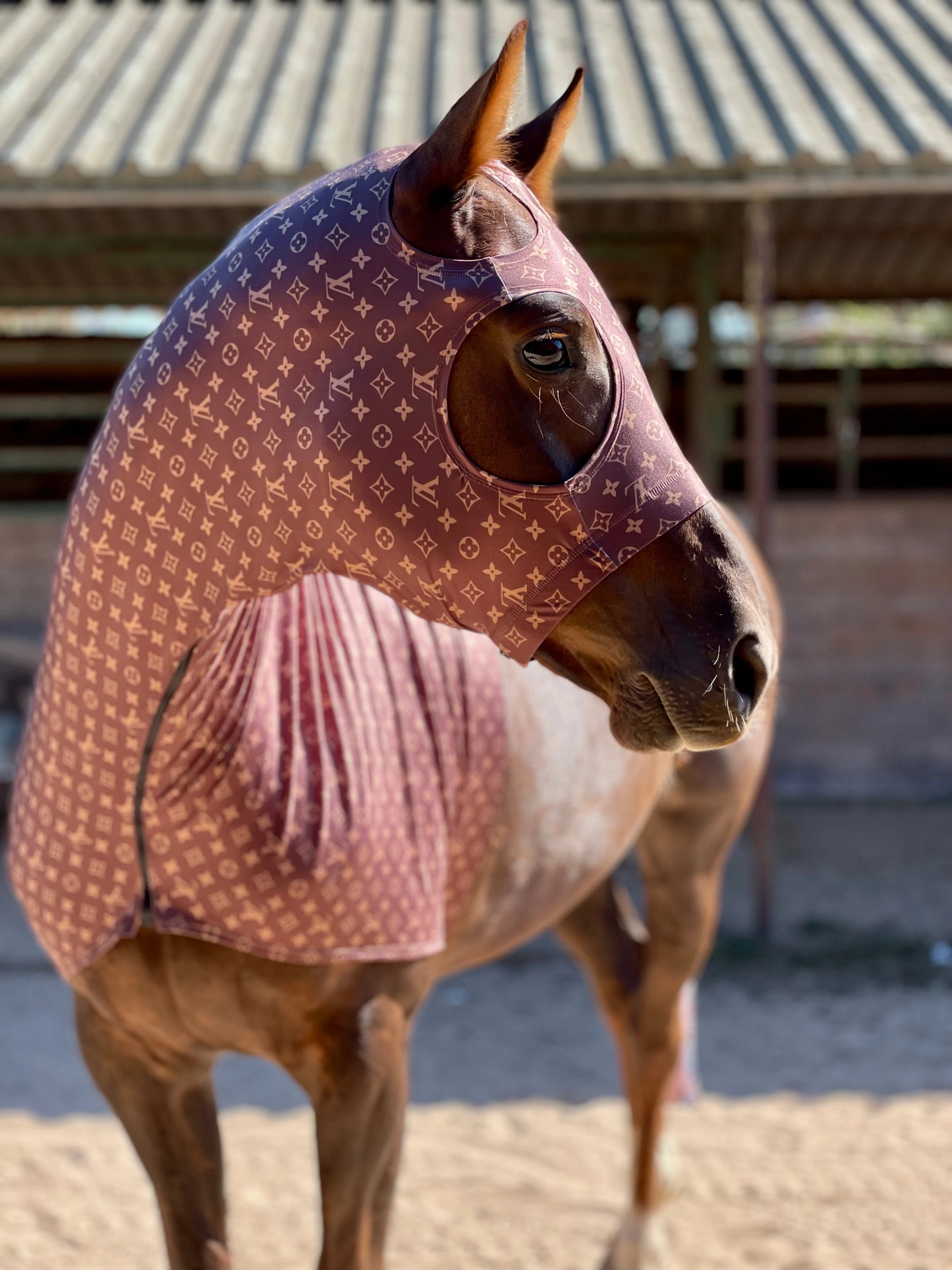 Lycra Sleazy Hoods | Slick Horseware