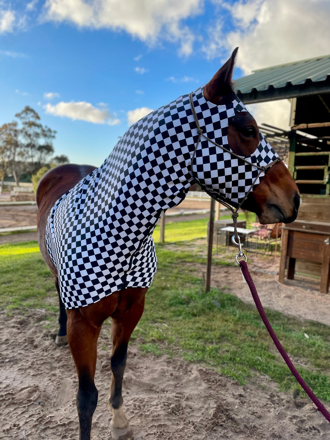 Lycra Sleazy Hoods | Slick Horseware