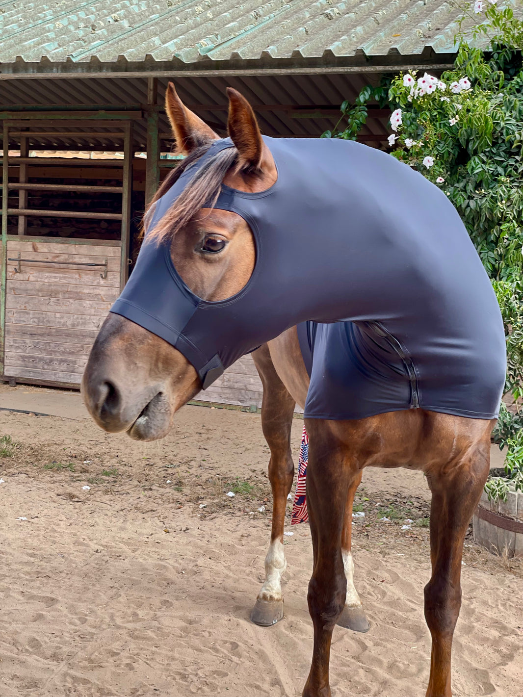 Lycra Sleazy Hoods | Slick Horseware