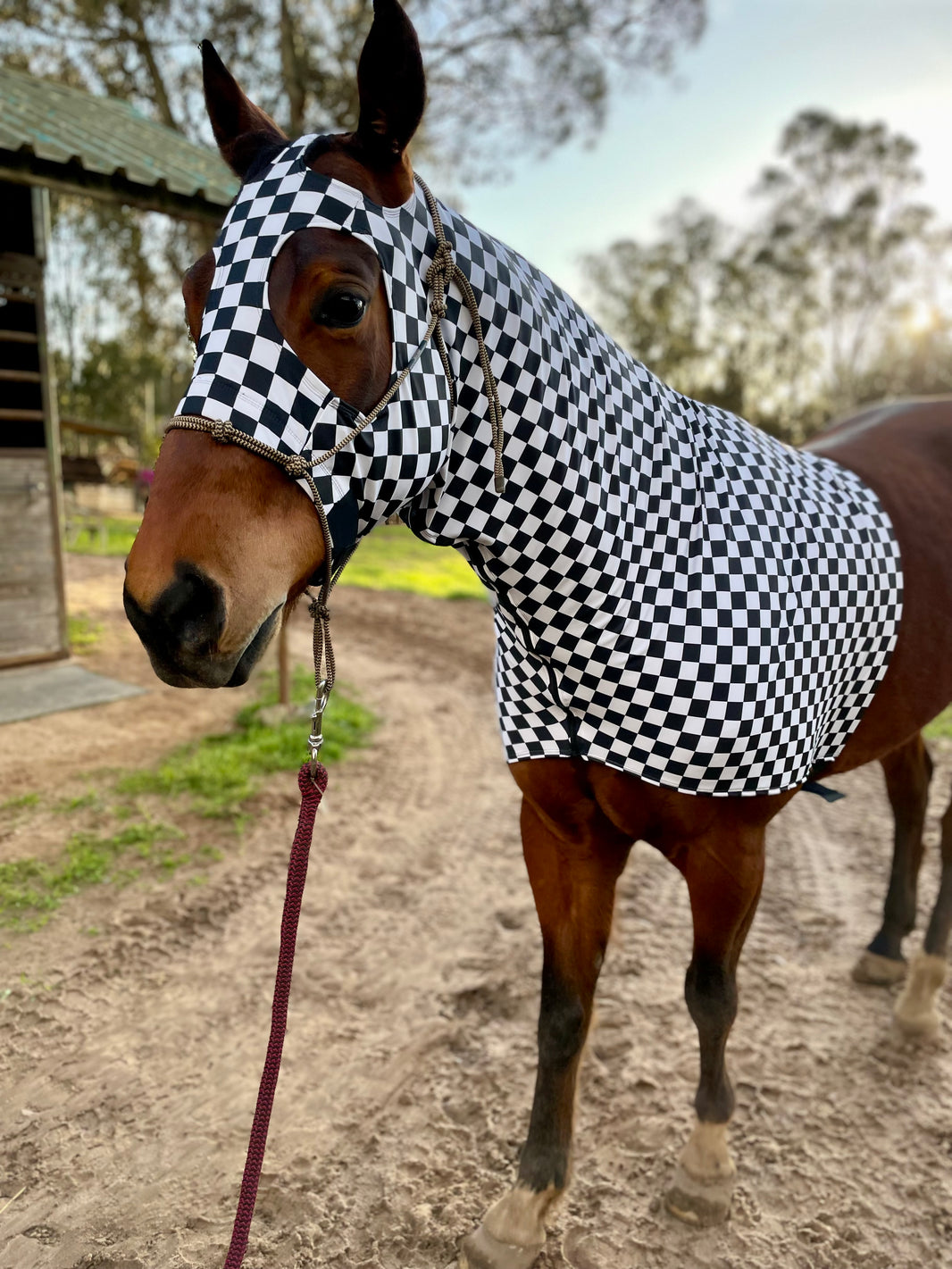 Lycra Sleazy Hoods | Slick Horseware