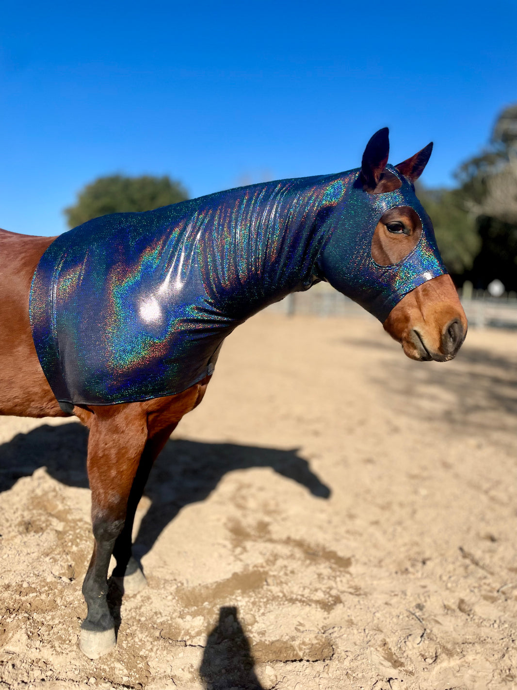 Lycra Sleazy Hoods | Slick Horseware