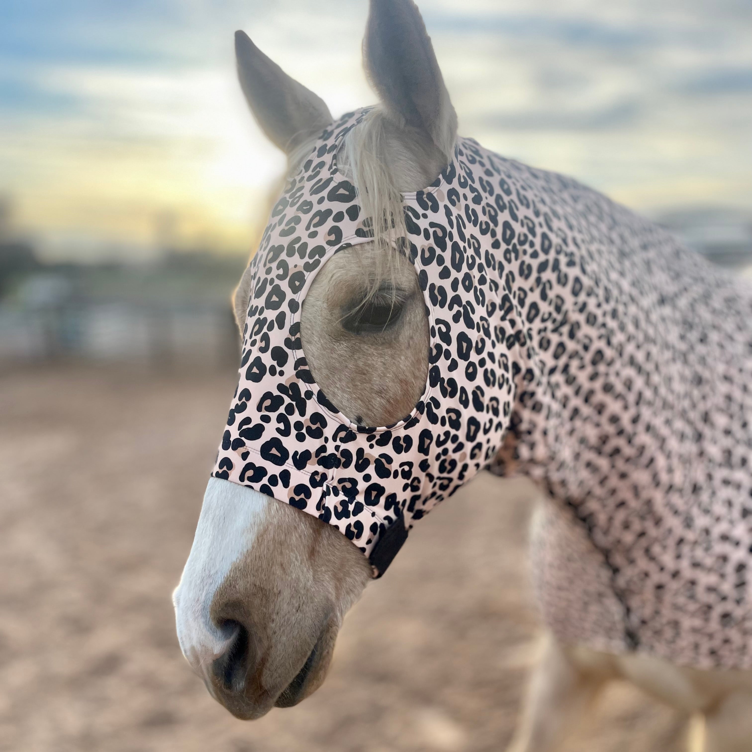 Lycra Sleazy Hoods | Slick Horseware